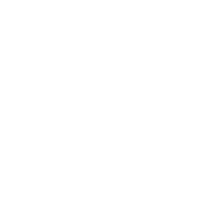 Home - DAMA International®